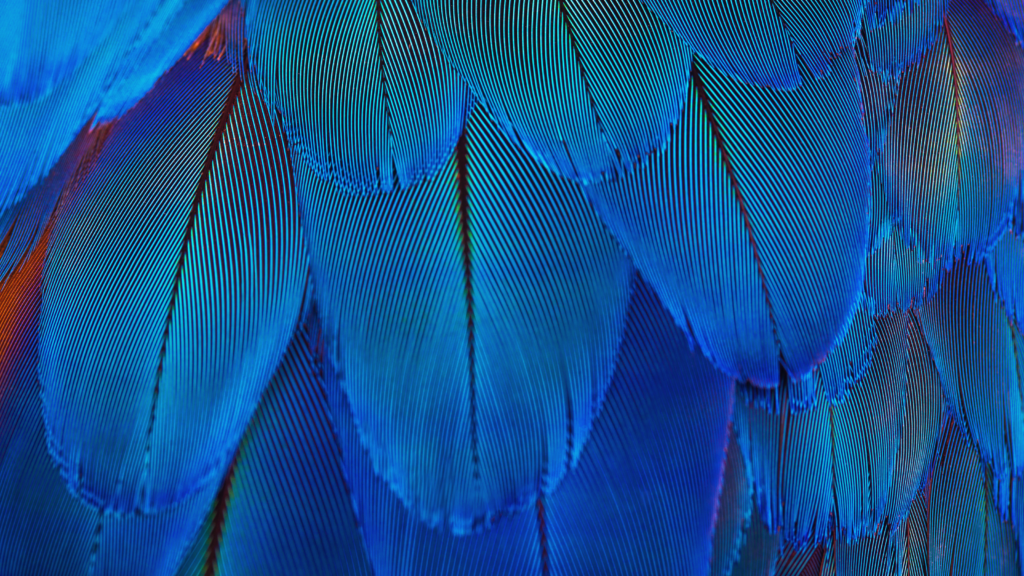 Understanding Color Measurements | Ocean Optics